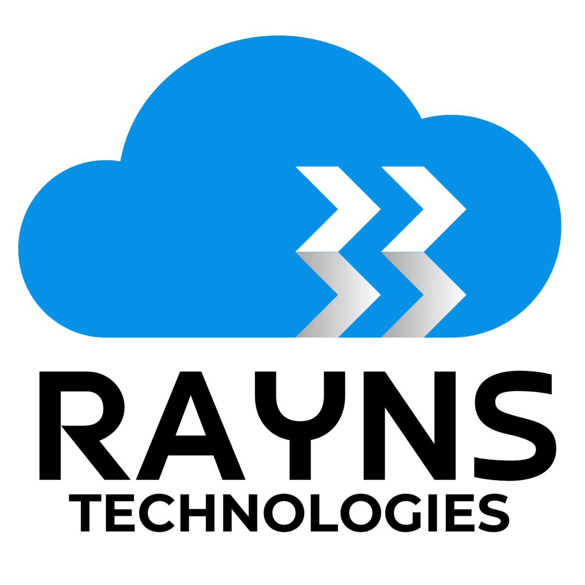 Salesforce & Software Solutions | Rayns Tech