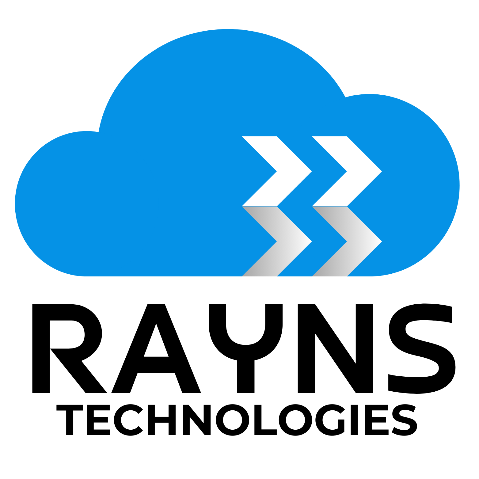 Salesforce & Software Solutions | Rayns Tech